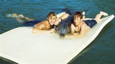 Flipper 7 Awesome Facts About The 1964 Dolphin Tv Show