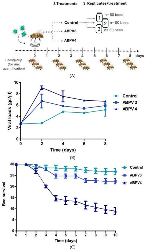 Reduction In Acute Bee Paralysis Virus Infection And Mortality In Honey