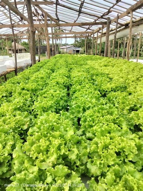 Hungry Lumpy Hungry Lumpy Added A New Photo