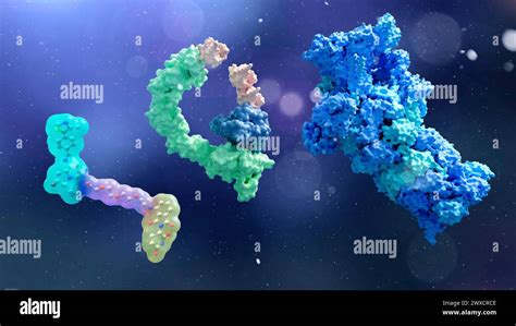 Illustration Of The Components Of Proteolysis Targeting Chimera Protac