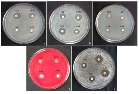 Antimicrobial Activity Of Different Medicinal Plants Roots Methanolic
