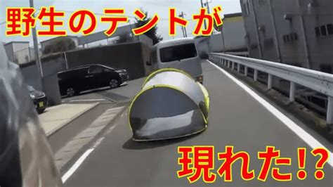 未知との遭遇 日本の交通事故・あおり運転・危険運転㉑ Traffic Conditions In Japan 世界の緊急車両24時