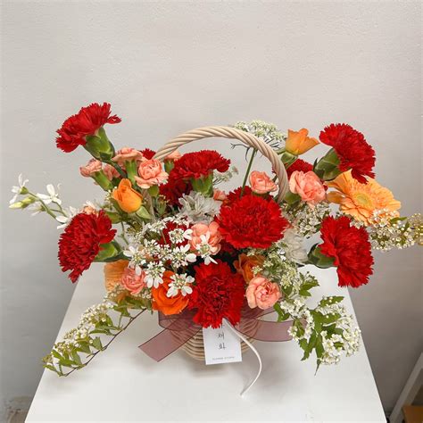 어버이날 빨강 카네이션 꽃바구니 S 리본글씨무료 배민 장보기∙쇼핑