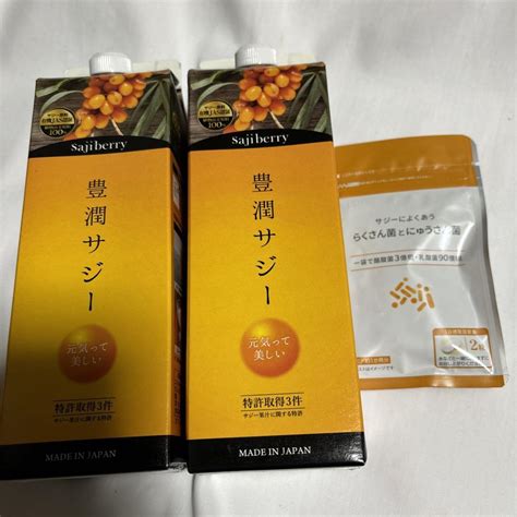 フィネス 豊潤サジー2本セットサージによく合う酪酸菌乳酸菌60粒 メルカリ