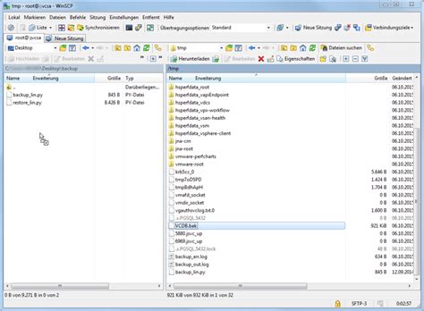 backup vcsa vpostgres database roles and permissions gansercom
