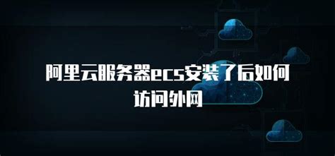 阿里云服务器ecs安装了后如何访问外网