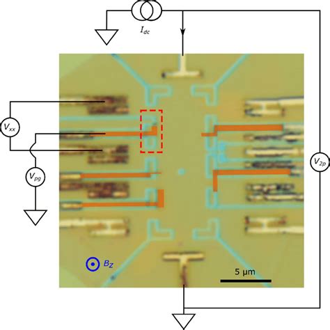 Figure S3 Optical Image Of Sample C Shown Are Hbn Graphene Hbn Download Scientific Diagram
