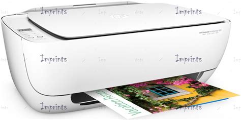 МФУ HP DeskJet Ink Advantage 3635 All-in-One: купить принтер и ...
