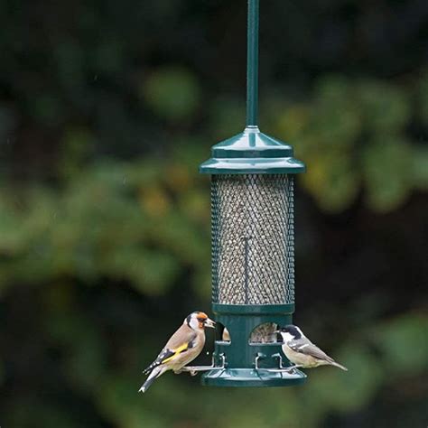 How To Protect Your Bird Feeder From Rats And Squirrels Ideal Home