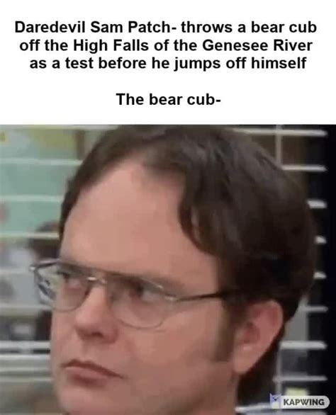 Daredevil Sam Patch Throws A Bear Cub Off The High Falls Of The Genesee River As A Test Before