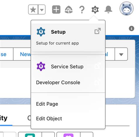 How To Add Salesforce Custom Action DocuSeal
