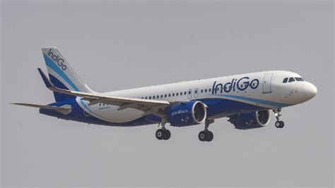फ्लाइट में महिला डॉक्टर के बगल बैठे प्रोफेसर ने की छेड़छाड़ लैंडिंग के
