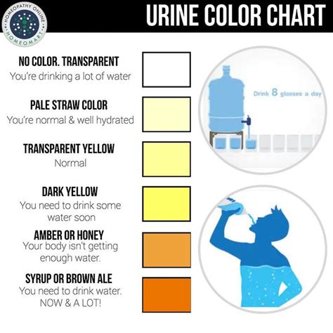 Bile Color Chart
