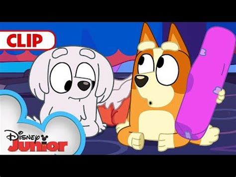 Bluey Season Episode Pass The Parcel Episode Clip