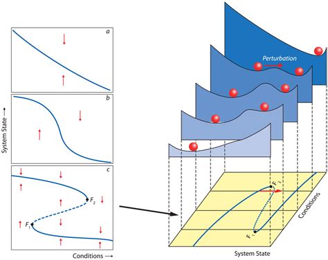 Regime Shifts In Deltas May Be Interpreted As Critical Transitions In A