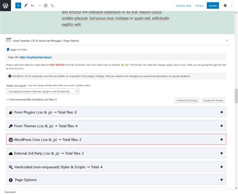 How To Remove Unused Css And Javascript In Wordpress
