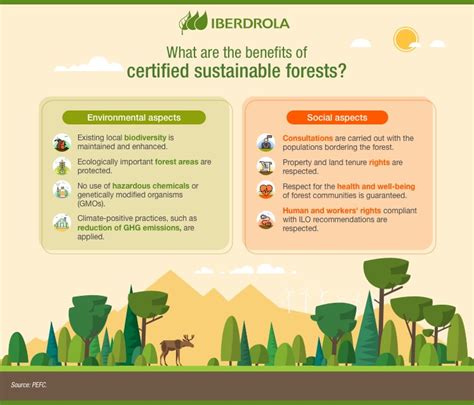 Sustainable forest management: the key to preserving the future of ...