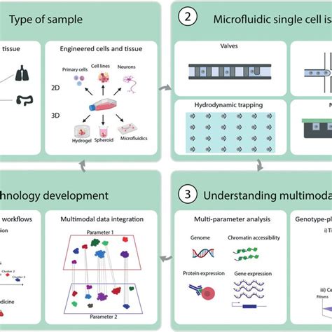Summary Of Multimodal Single Cell Analysis Technologies Using Download Scientific Diagram