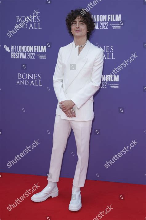 Timothee Chalamet Poses Photographers Upon Arrival Editorial Stock Photo Stock Image