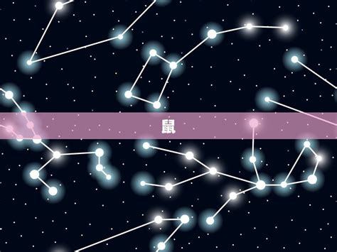 属相12生肖排列顺序十二生肖的排列顺序及其含义 星辰运势