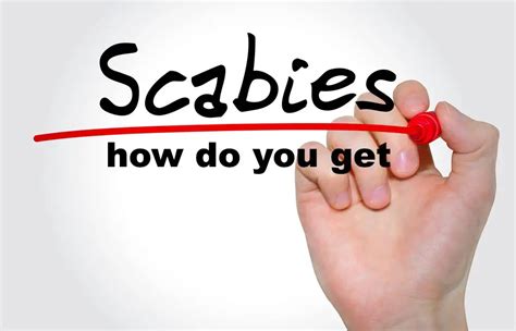 How Do You Get Scabies Causes Symptoms Treatment Pictures