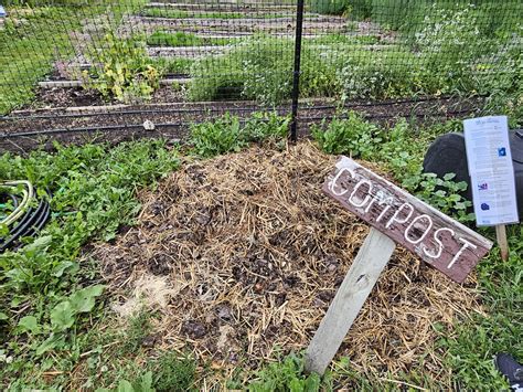 Composting Basics