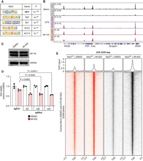 A Molecular Switch Between Mammalian Mll Complexes Dictates Response To