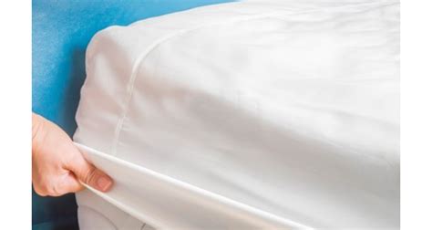 Choose The Right Bed Bug Protector To Keep Bugs At Bay Omland Hospitality