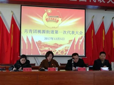 基层团讯共青团桃源街道第一次代表大会顺利召开
