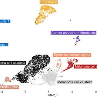 A Uniform Manifold Approximation And Projection UMAP Plot Shows The