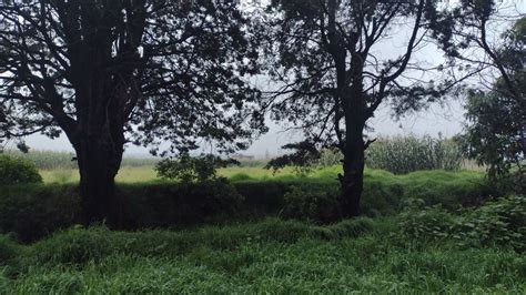Terrenos En Venta En Toluca PortalTerreno