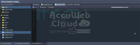 PostgreSQL Replication And Auto Clustering With AccuWeb Cloud
