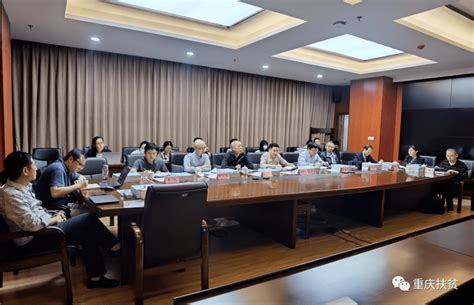 重庆市乡村振兴局组织召开重庆市脱贫攻坚省级样本项目中期评估会 指导