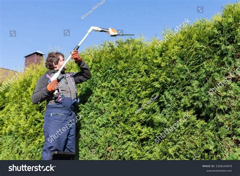 128 001 Tree Pole Images Stock Photos Vectors Shutterstock