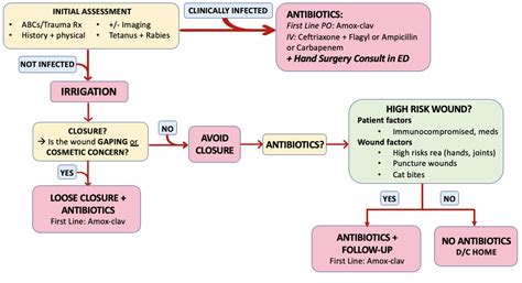 Antibiotics For Human Bite Wounds