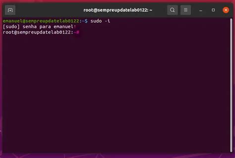 Terminal Linux Entenda o que é comando sudo shell script