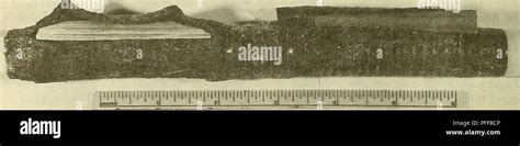 This Image Illustrates The Process Of Biodeterioration Affecting