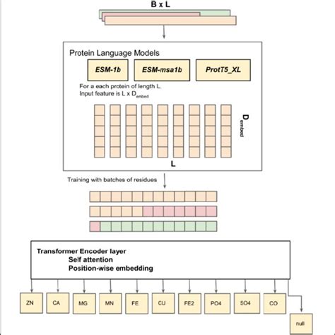 Figures Fig S1 Overall Workflow For M Ionic Download Scientific Diagram