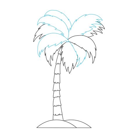 How To Draw A Palm Tree Step By Step