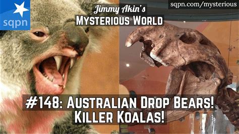 The Fearsome Australian Drop Bear Killer Koalas Jimmy Akins