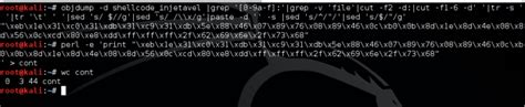 shellcode exploitando a vulnerabilidade do buffer overflow