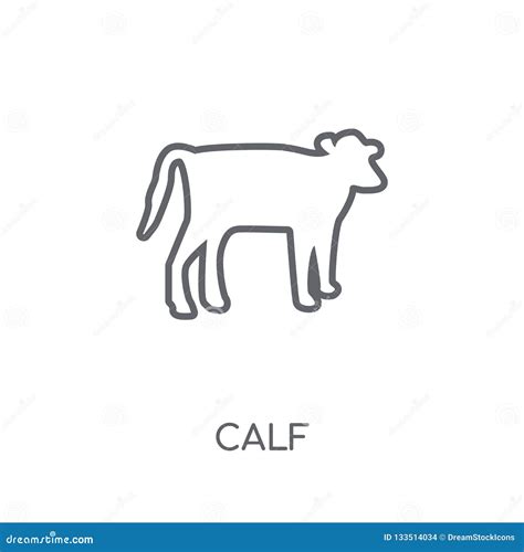 Calf Linear Icon Modern Outline Calf Logo Concept On White Back Stock