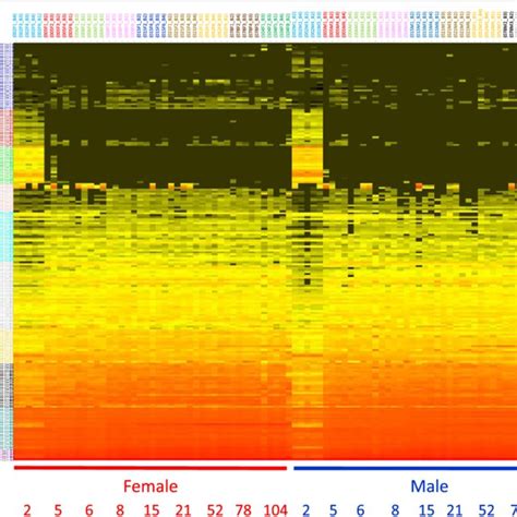 Heatmap Of K Means Cluster Analysis Of 214 Differentially Expressed Download Scientific Diagram