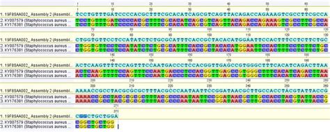 Multiple Sequence Alignment Of Saureus Partial Nucleotide Sequence Of
