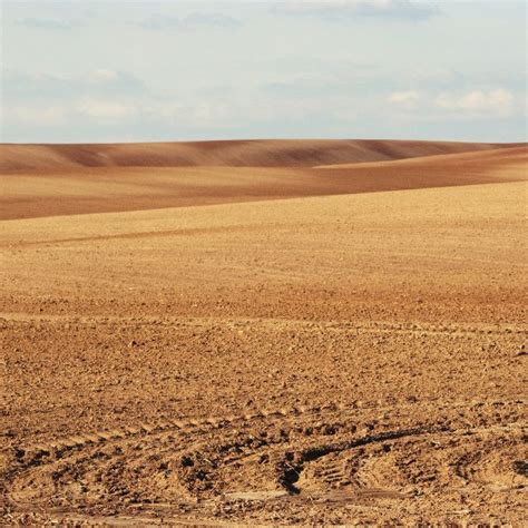 empty field aesthetic pictures photoshop projects field