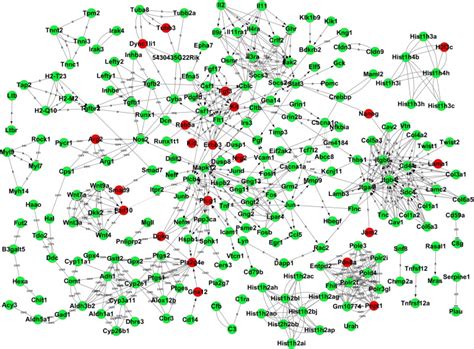 Transcriptome Analysis Of Induced Pluripotent Stem Cell Ipsc Derived