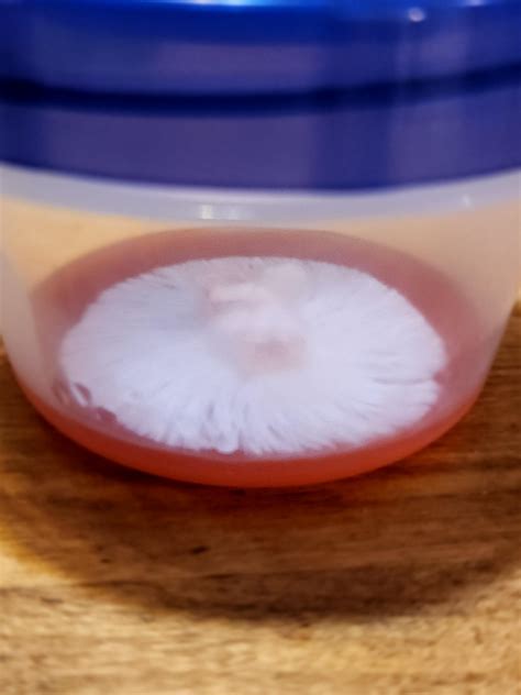 See Any Reason Not To Put On Grain Rcontamfam