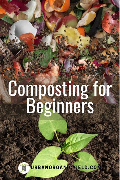 How To Compost For Beginners Compost How To Make Compost Benefits Of Gardening