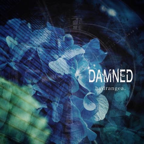Damned Discography Damnedディスコグラフィ Vkgy ブイケージ