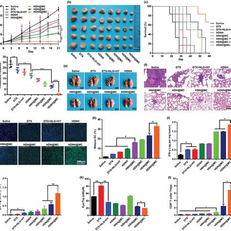 Anti‐tumor Effect In 4t1‐tumor‐bearing Mice A The Variation Curves Of